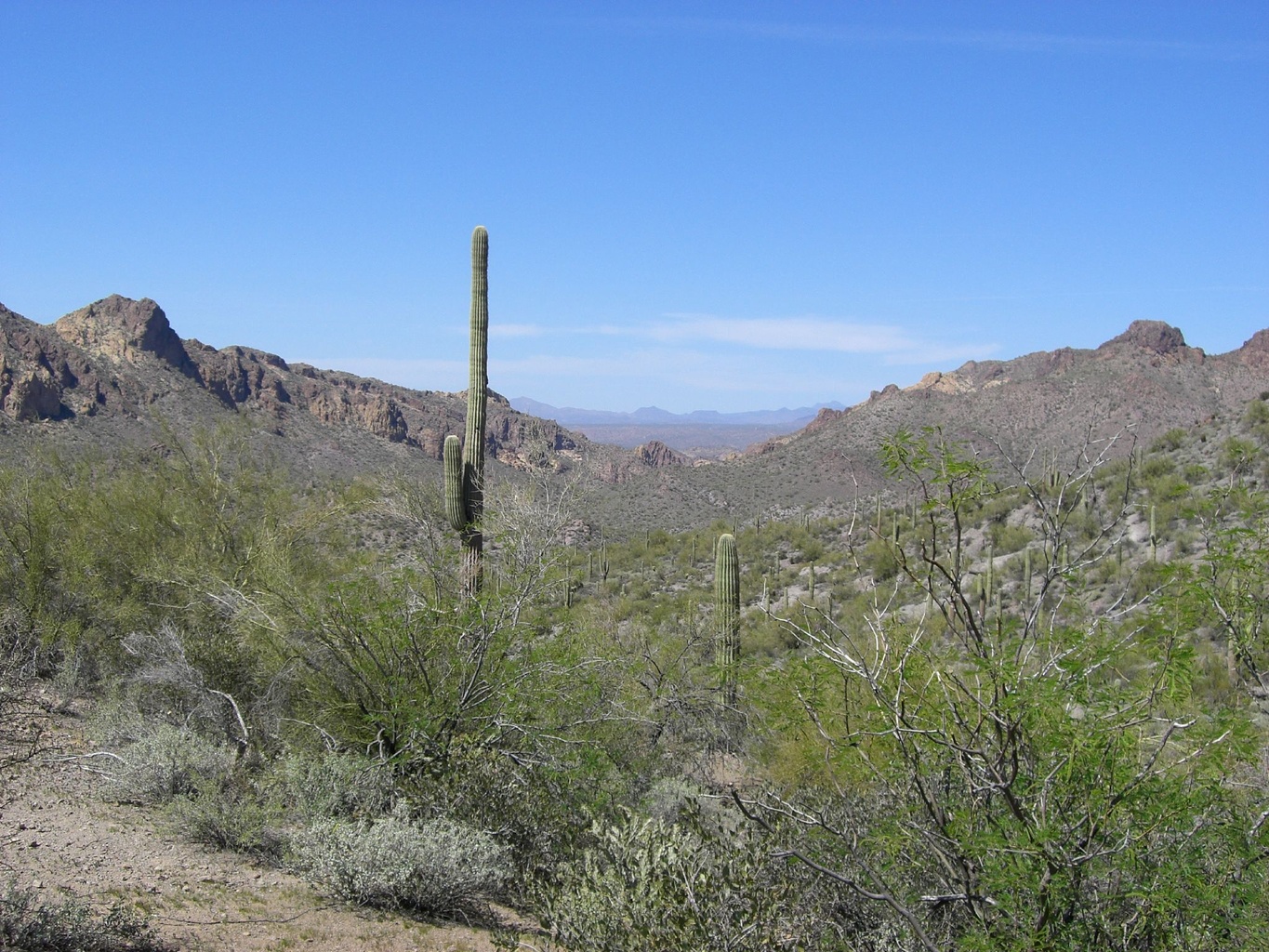 Hackberry Spring Loop Trail
