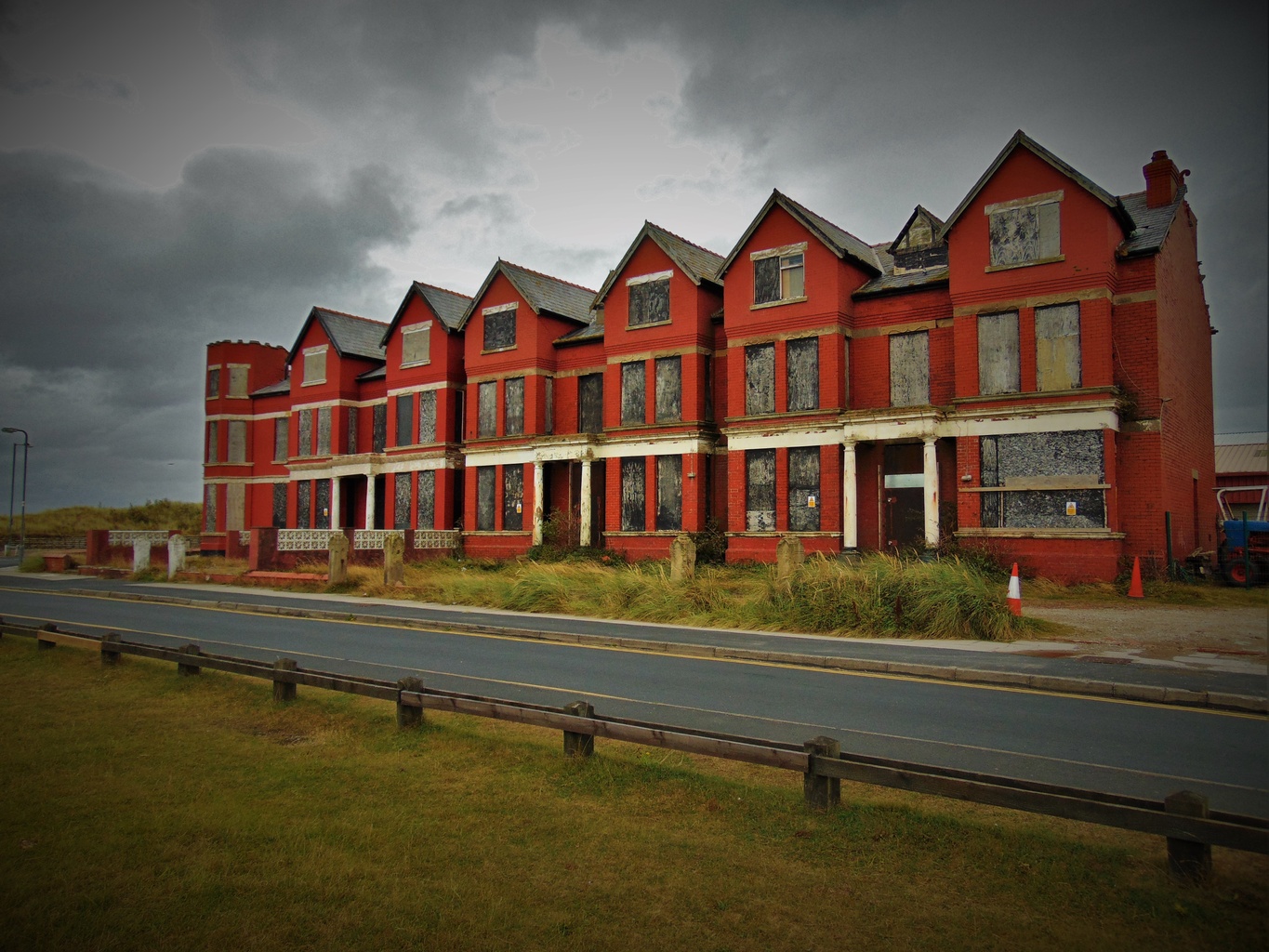 Toad Hall Sand Lizard Mural