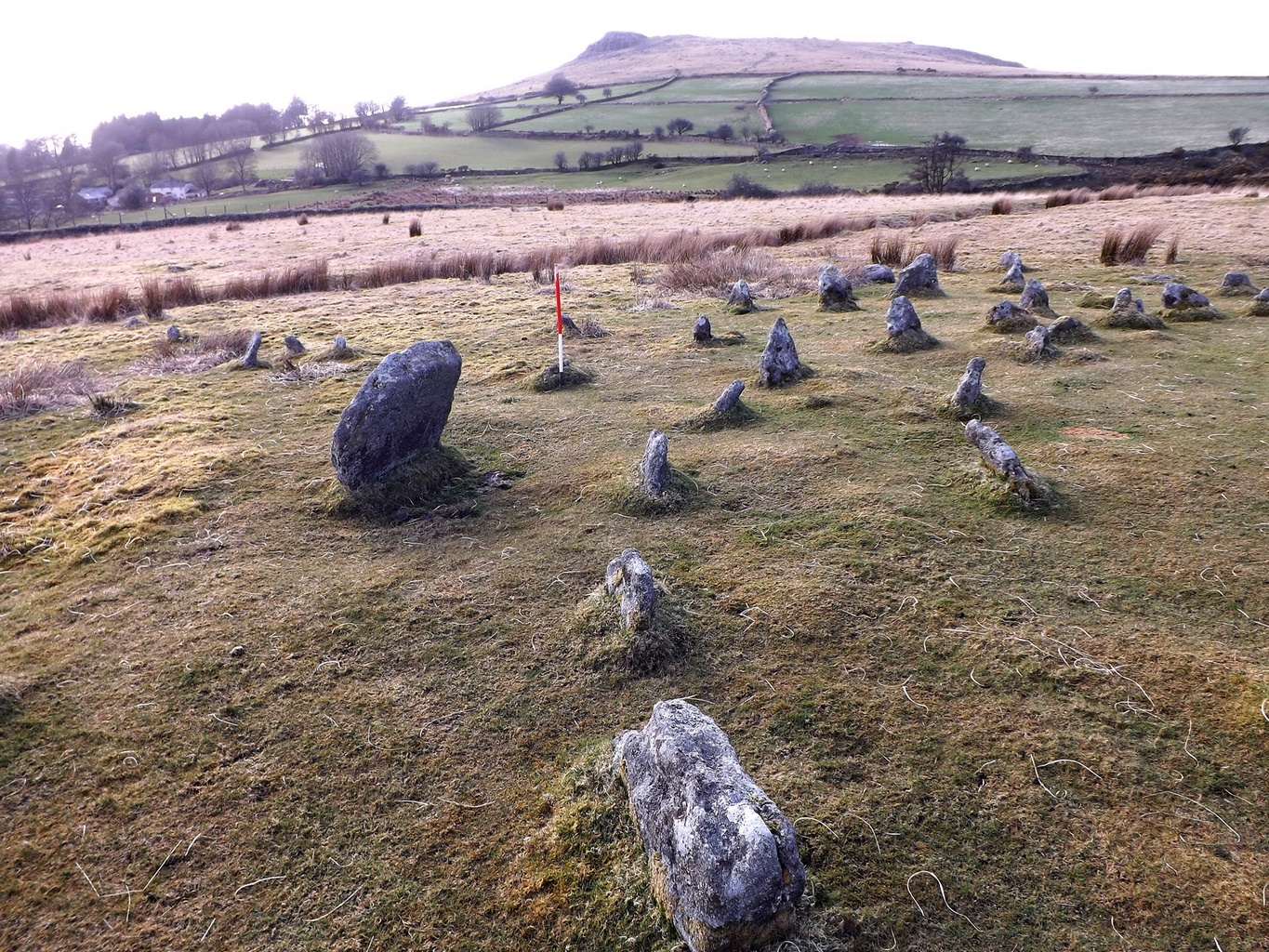 Yellowmead Stone Circle