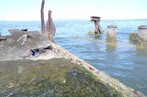 USS Thompson (DD-305) (South Bay Wreck)