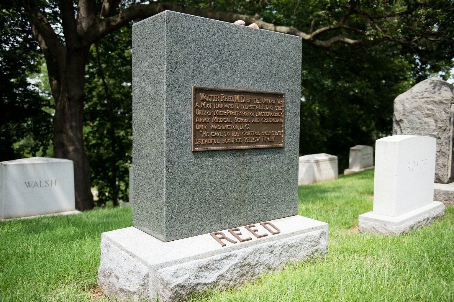 Walter Reed Gravesite