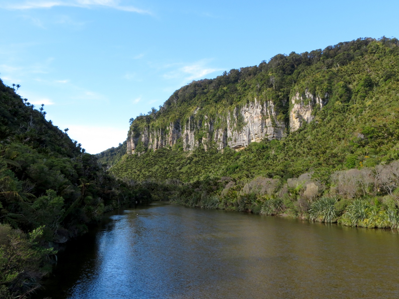 Pororari River Track