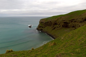 Cape Saunders