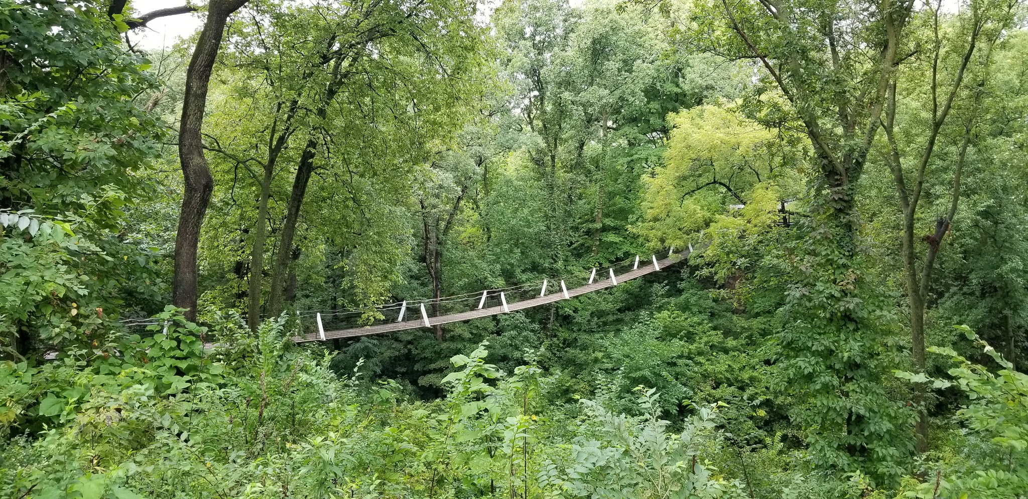 Swinging Bridge Park