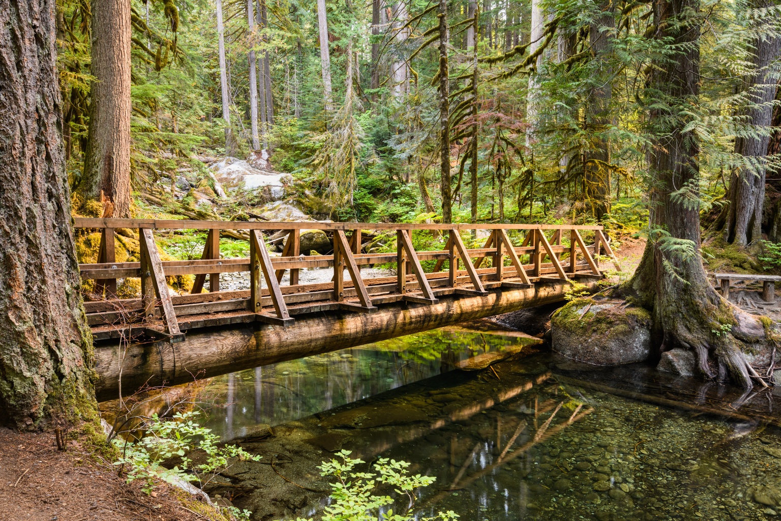 Mount Baker–Snoqualmie National Forest