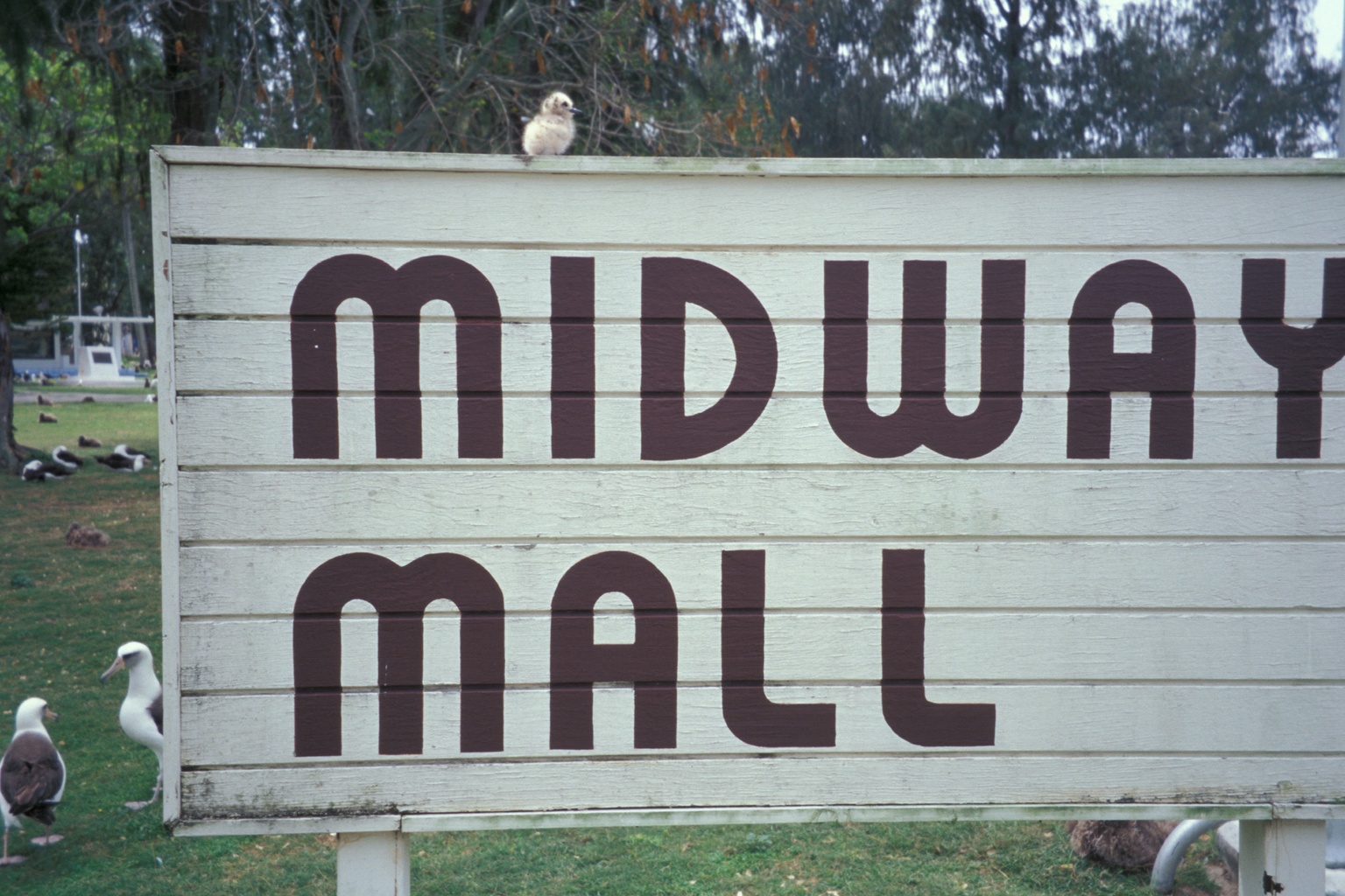 Midway Mall