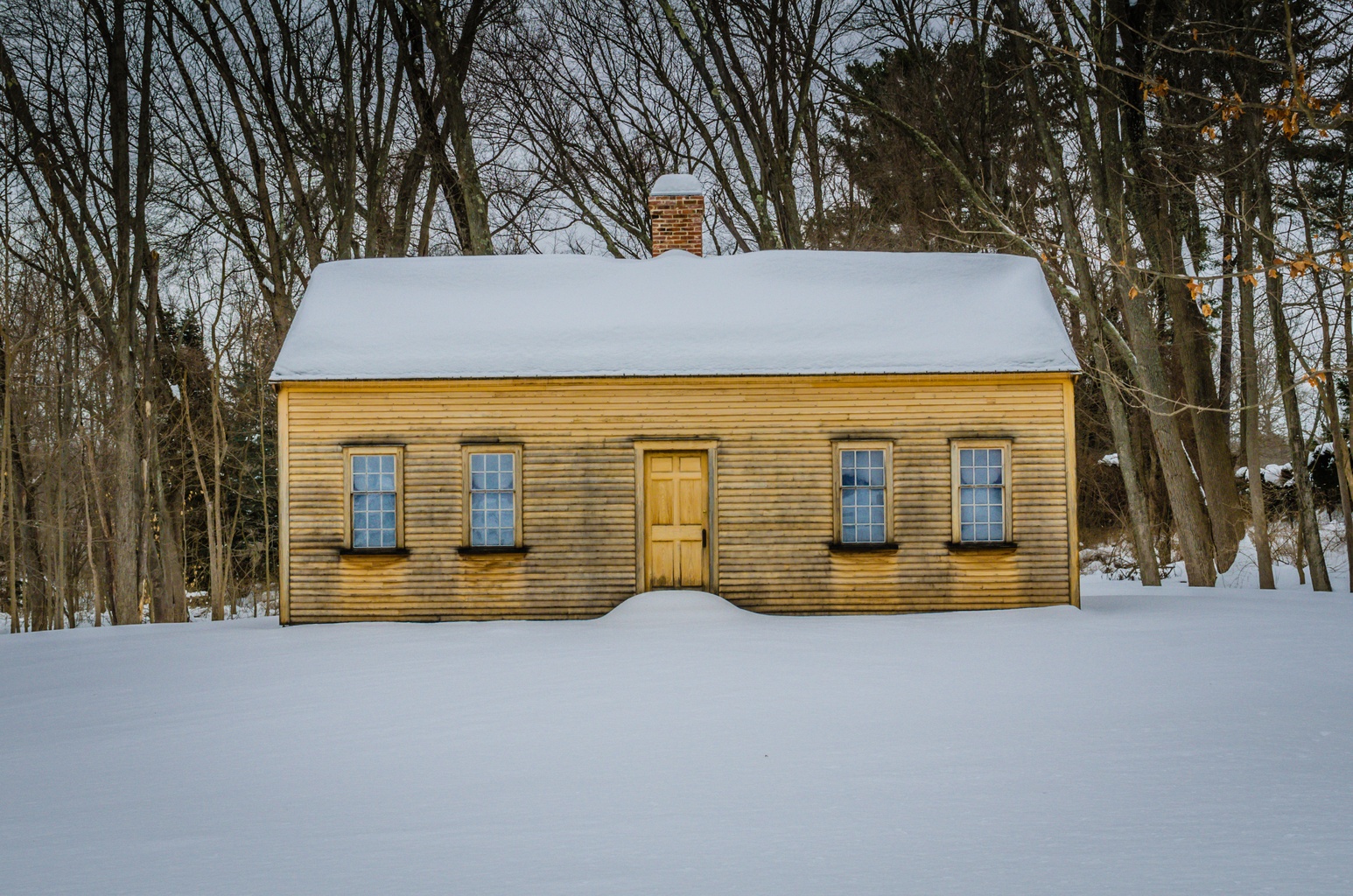 The Robbins House