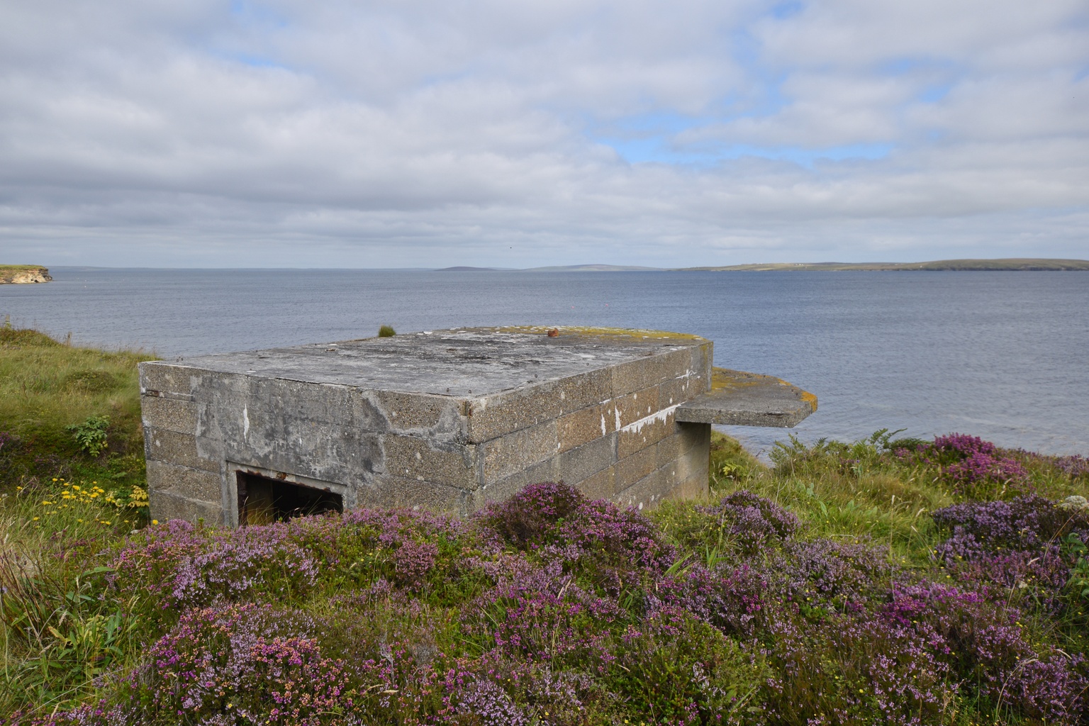 Buchanan Battery