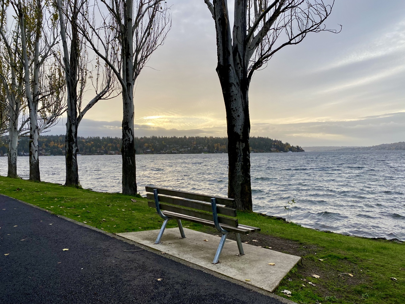 Seward Park