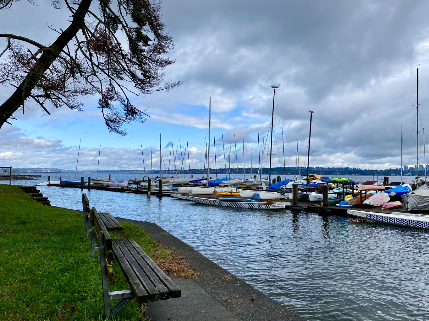 Leschi Park