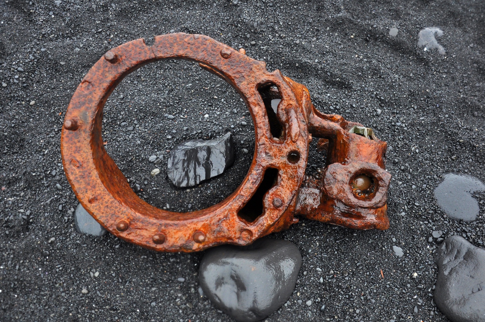 Epine GY7 Fishing Trawler Shipwreck Remains