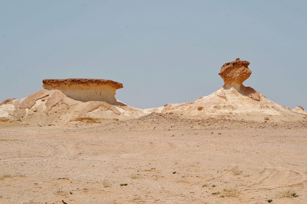 Al Reem Biosphere Reserve