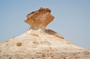 Al Reem Biosphere Reserve