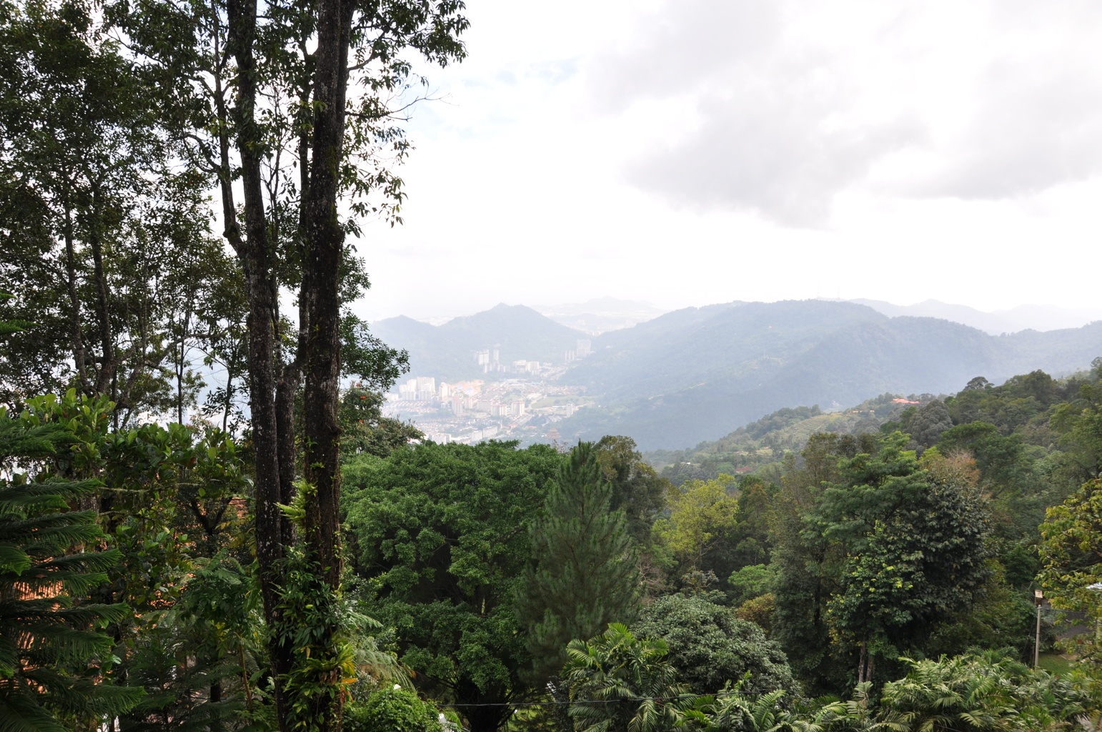 Penang Hill Biosphere Reserve