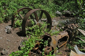 Grizzly Bear Mine