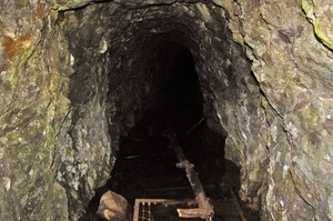 Grizzly Bear Mine