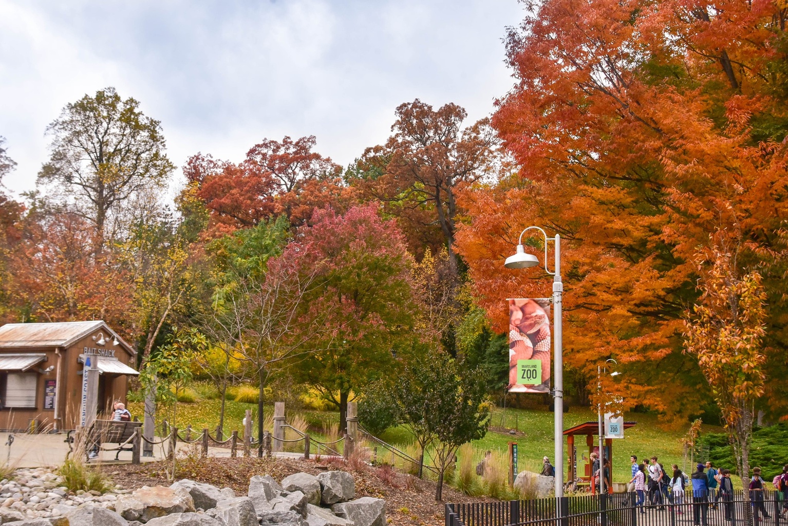 The Maryland Zoo in Baltimore