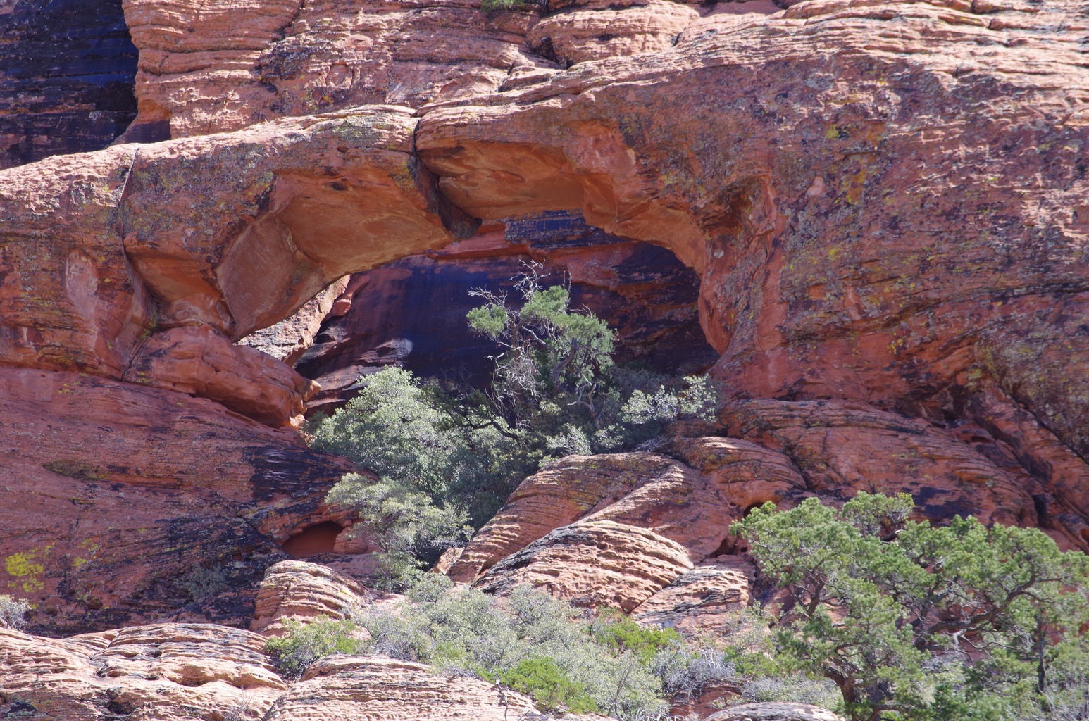 Lone Pine Arch & Petroglyphs