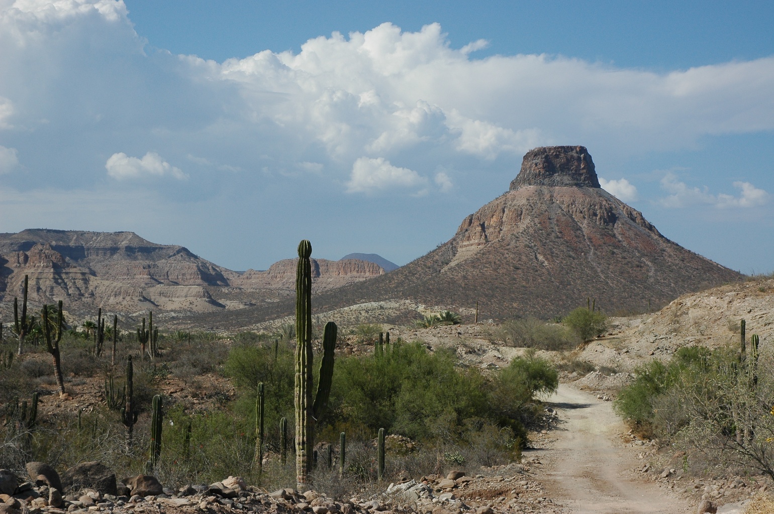 Cerro El Pilón