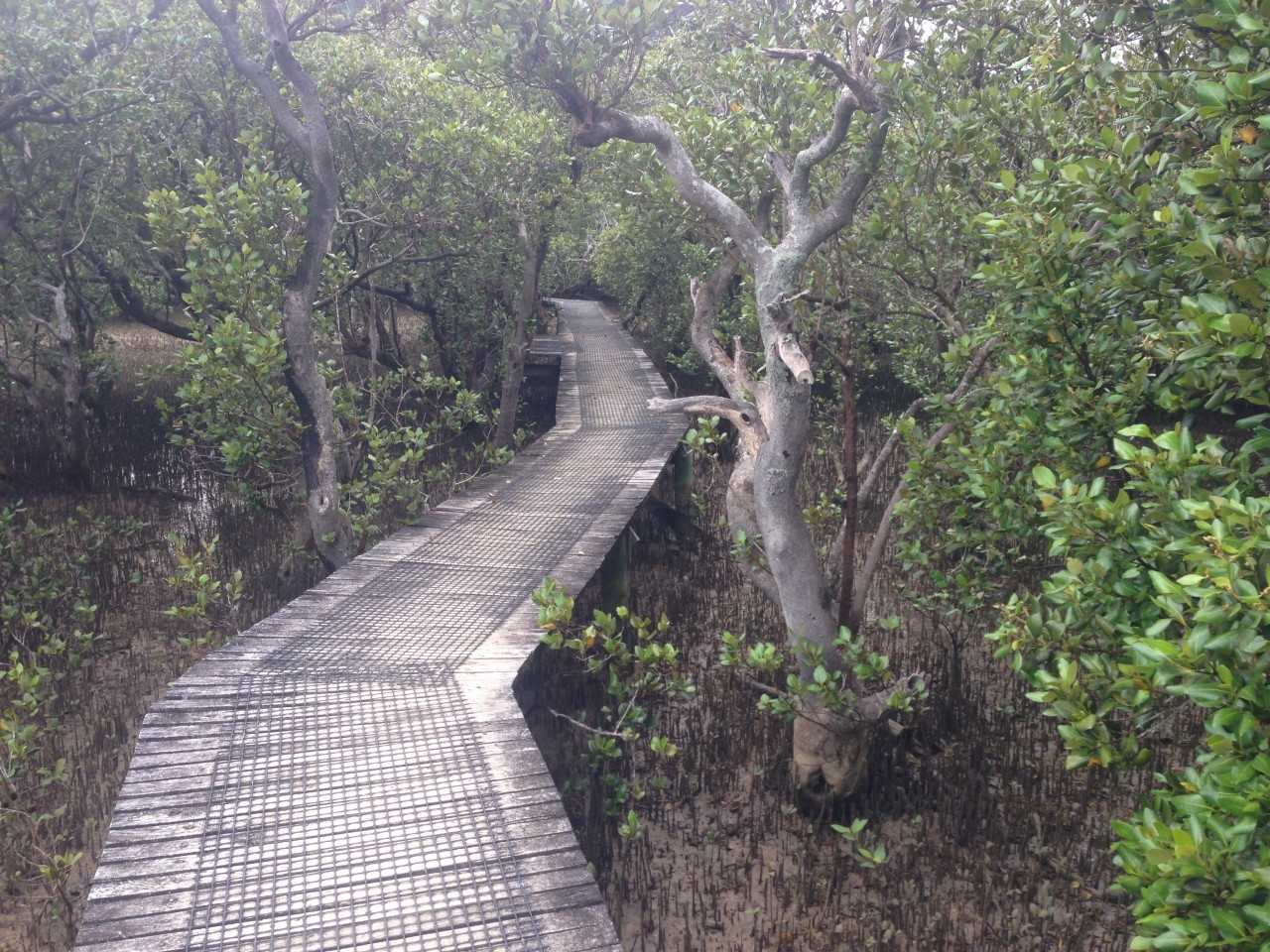Opua to Paihia Walkway
