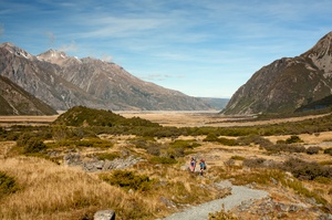 Kea Point Track