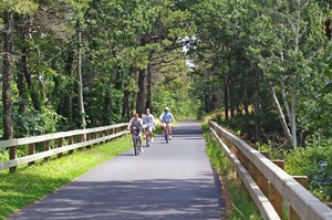 Cape Cod Rail Trail
