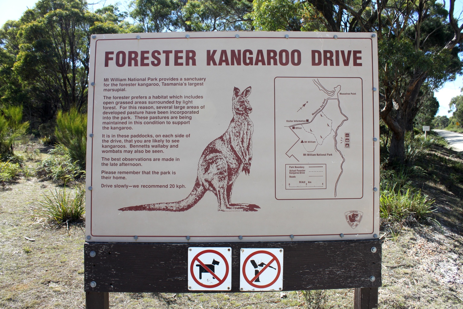 Forester Kangaroo Drive