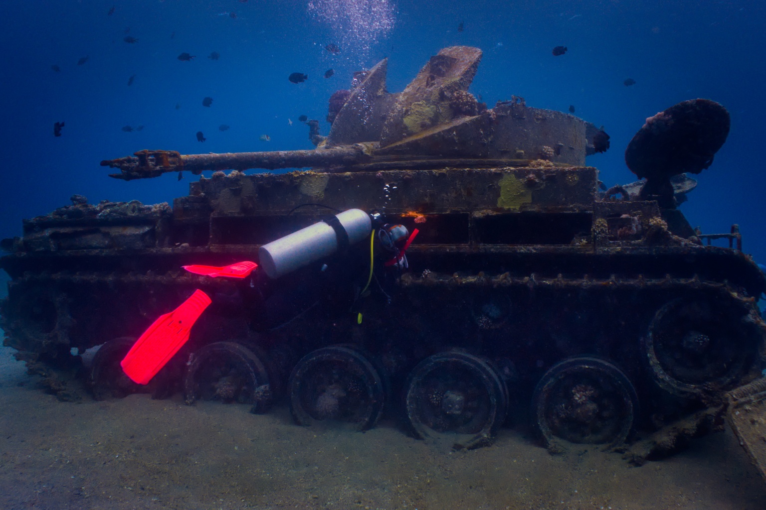 The Tank