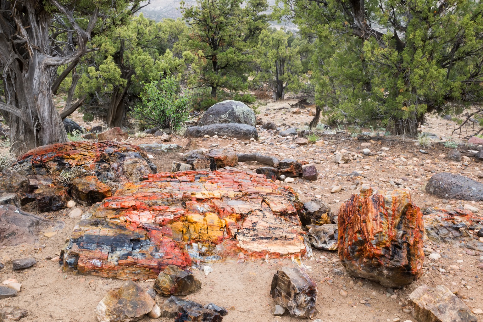 Escalante Petrified Forest State Park