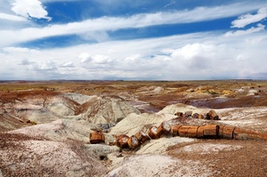 Escalante Petrified Forest State Park