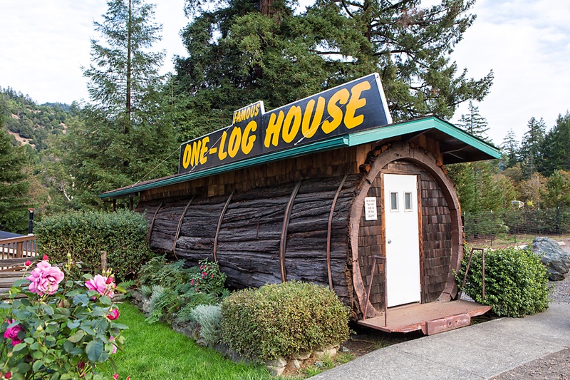 One Log House