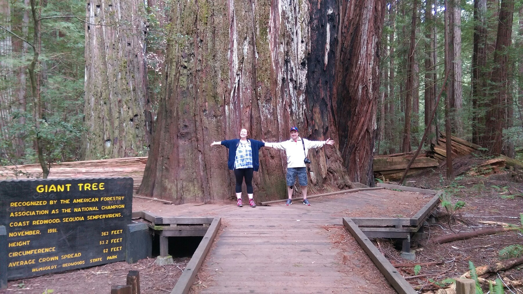 Big Trees Loop Trail to Giant Tree