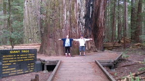Humboldt Redwoods State Park