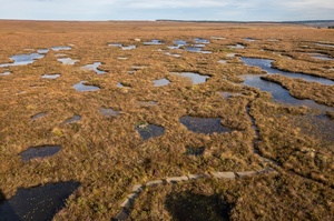 Forsinard Flows National Nature Reserve