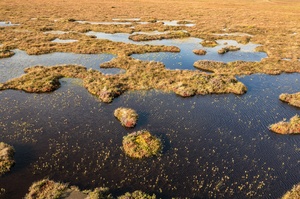Forsinard Flows National Nature Reserve