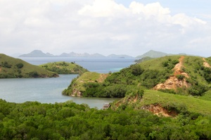 Rinca Island