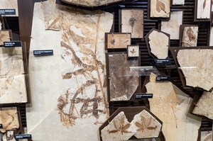 Fossil Butte National Monument Visitor Center