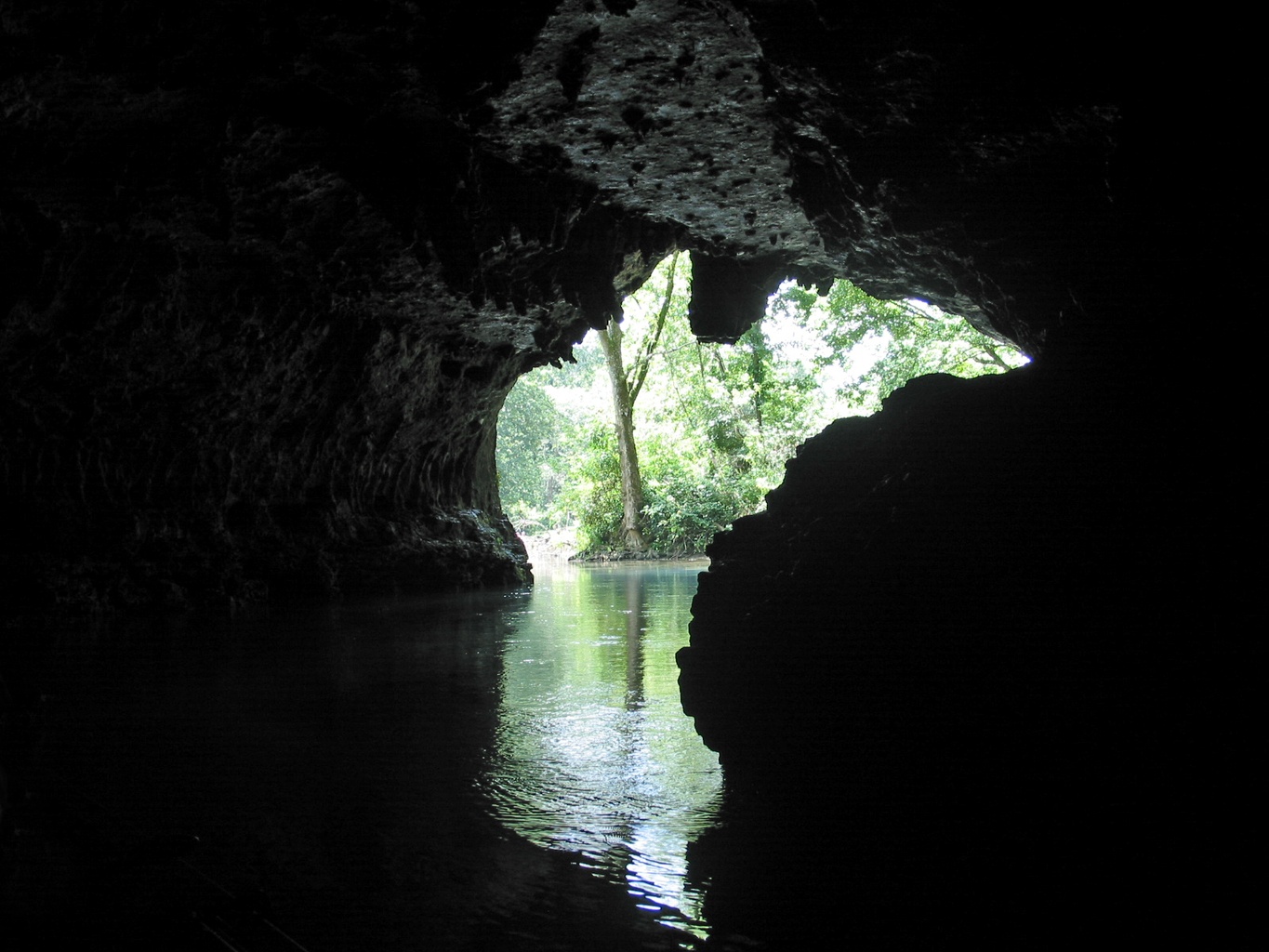 Cave Spring