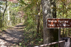 Welch Spring Hospital Ruins