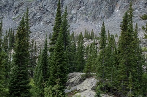 McCullough Gulch Waterfall Trail