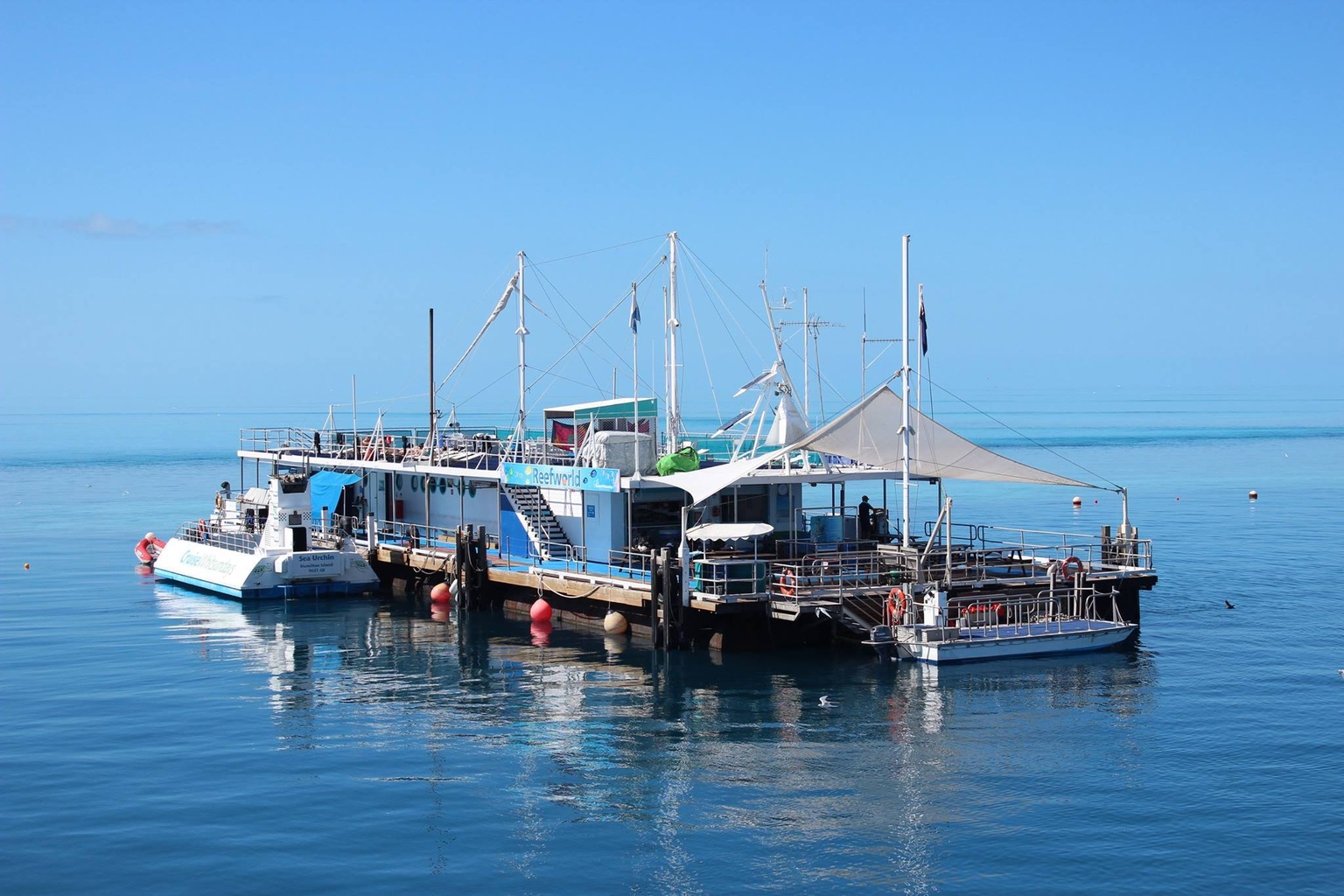 Australia's first underwater hotel lets you sleep next to fish in the ...