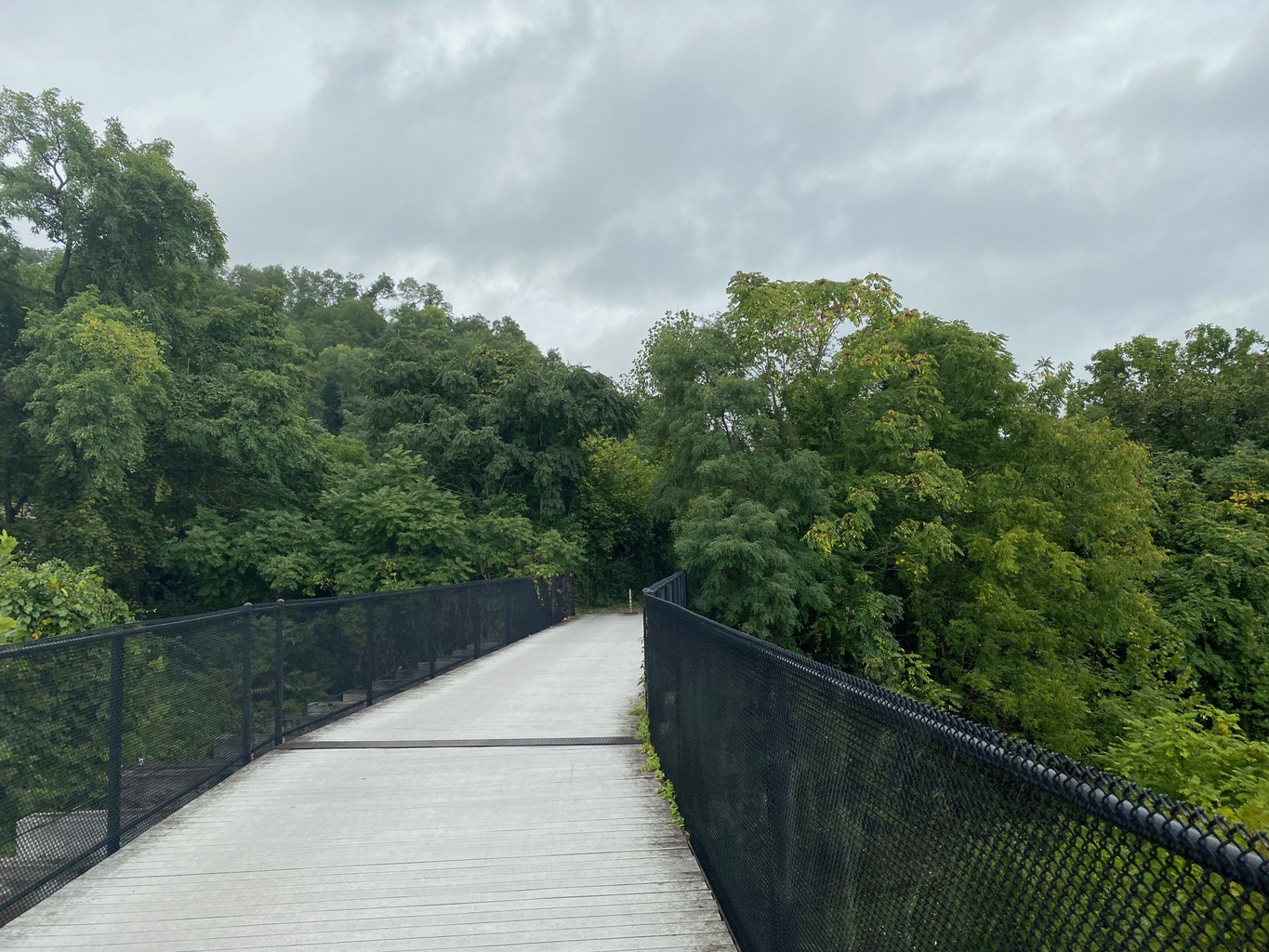 McKeesport Connecting Railroad Bridge (Riverton Bridge)