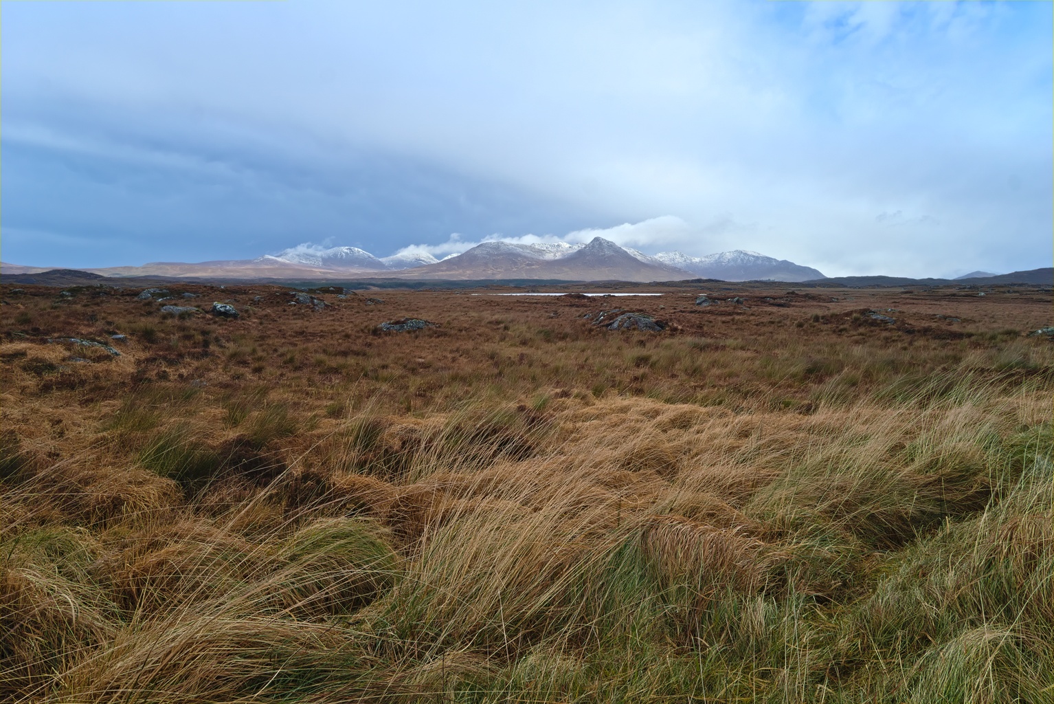 The Bog Road (Roundstone Bog)