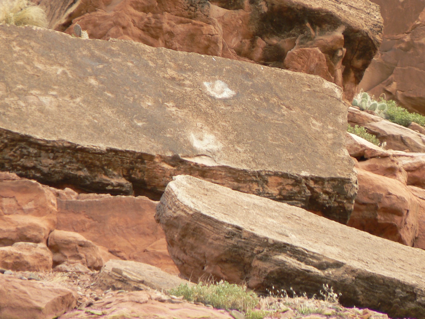 Potash Road Dinosaur Tracks and Petroglyphs