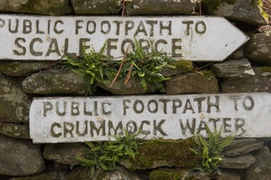 Scale Force Waterfall