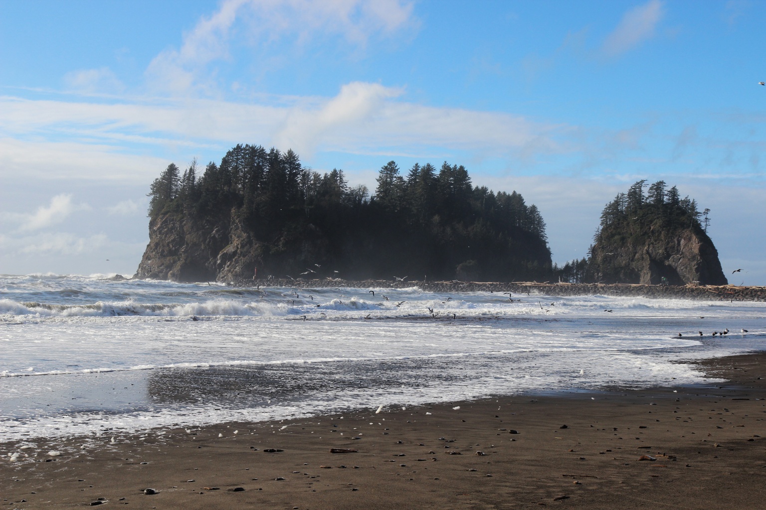 First Beach