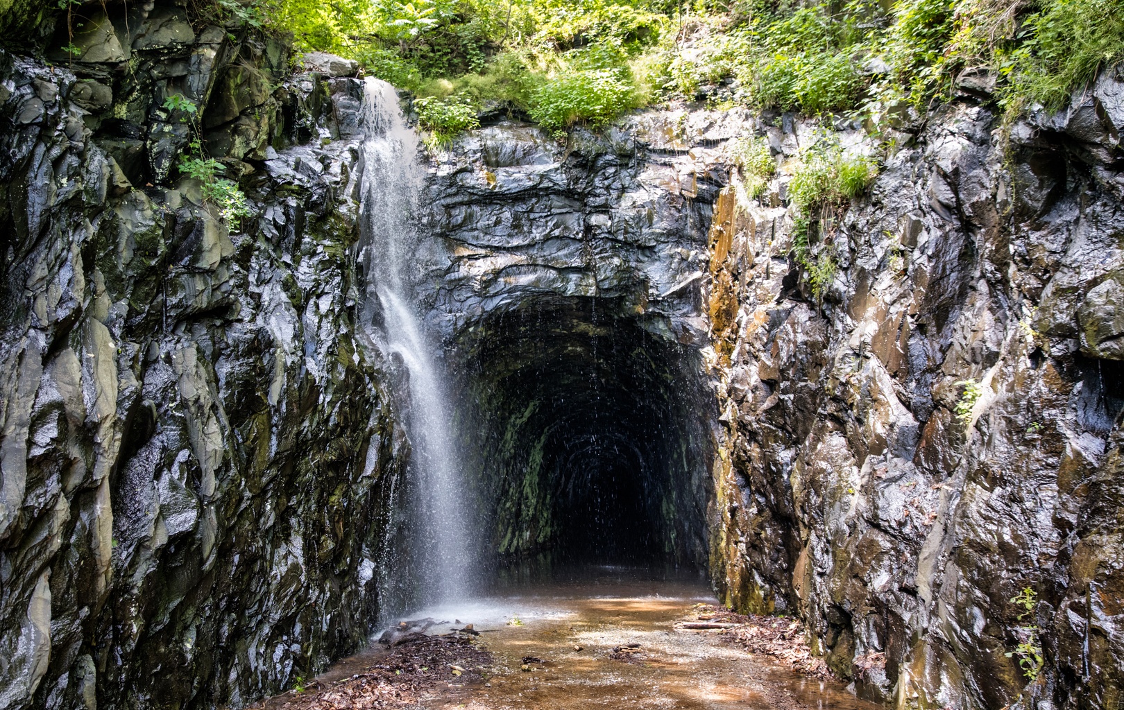 Cladius Crozet Blue Ridge Tunnel Trail