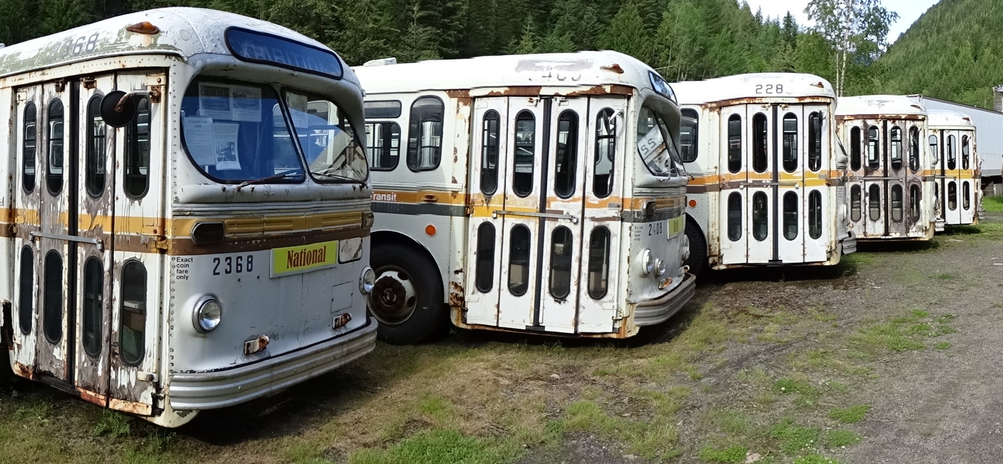 Sandon's BC Transit Bus Graveyard
