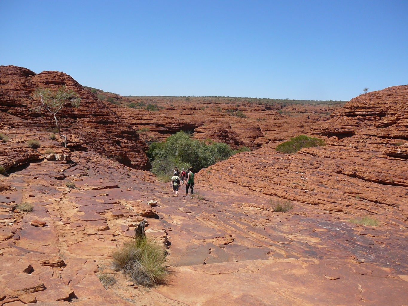 Kings Canyon Rim Walk