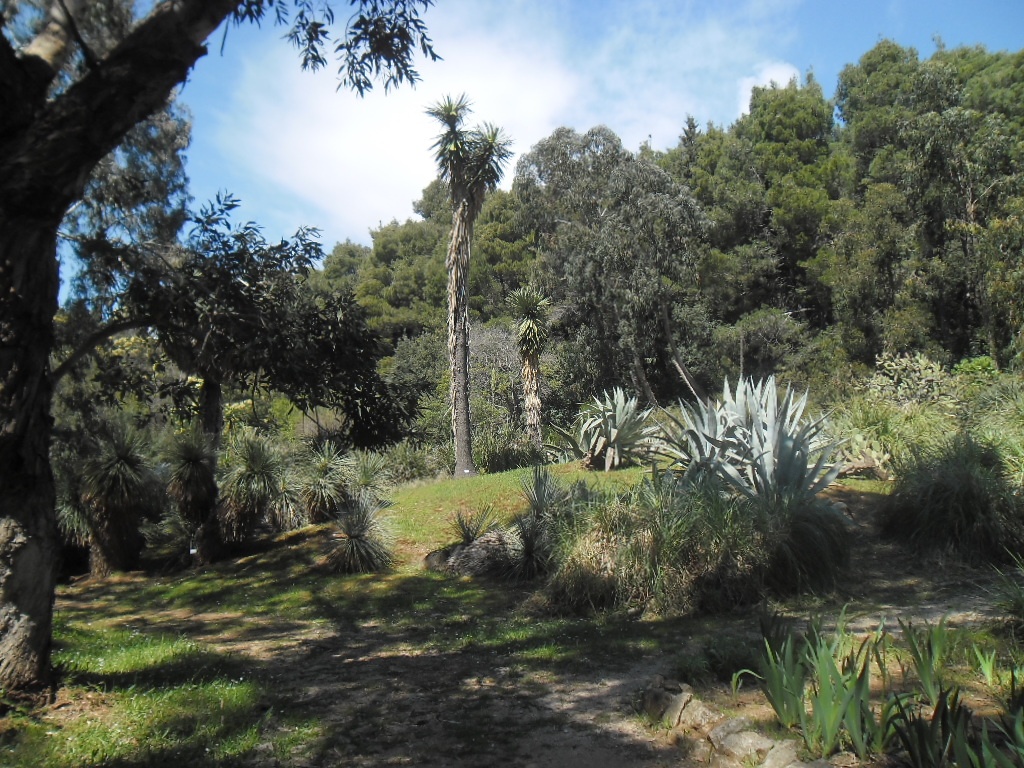 Lokrum Botanical Garden